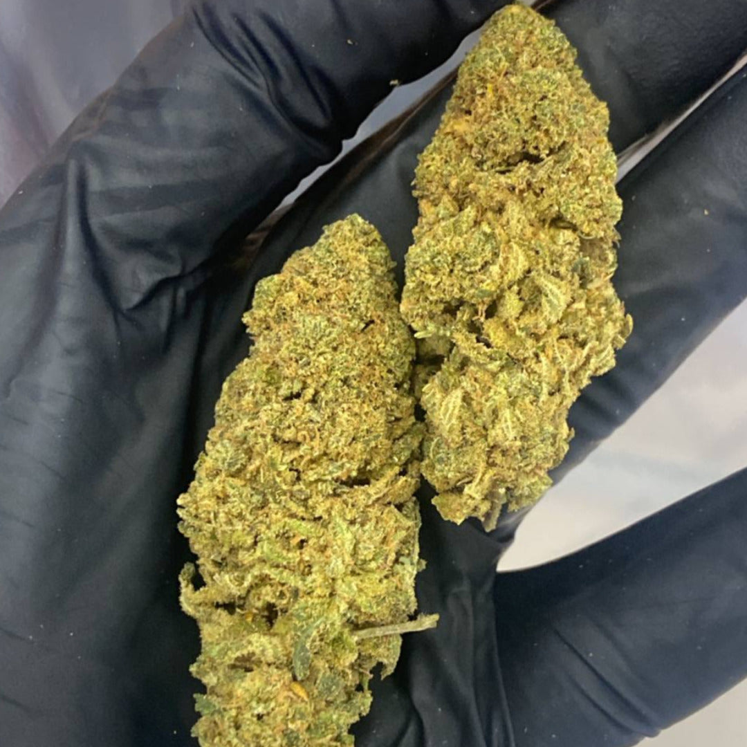 Lemon Cheese CBD Flower | Rich Hemp Strain | COLOR HEMP